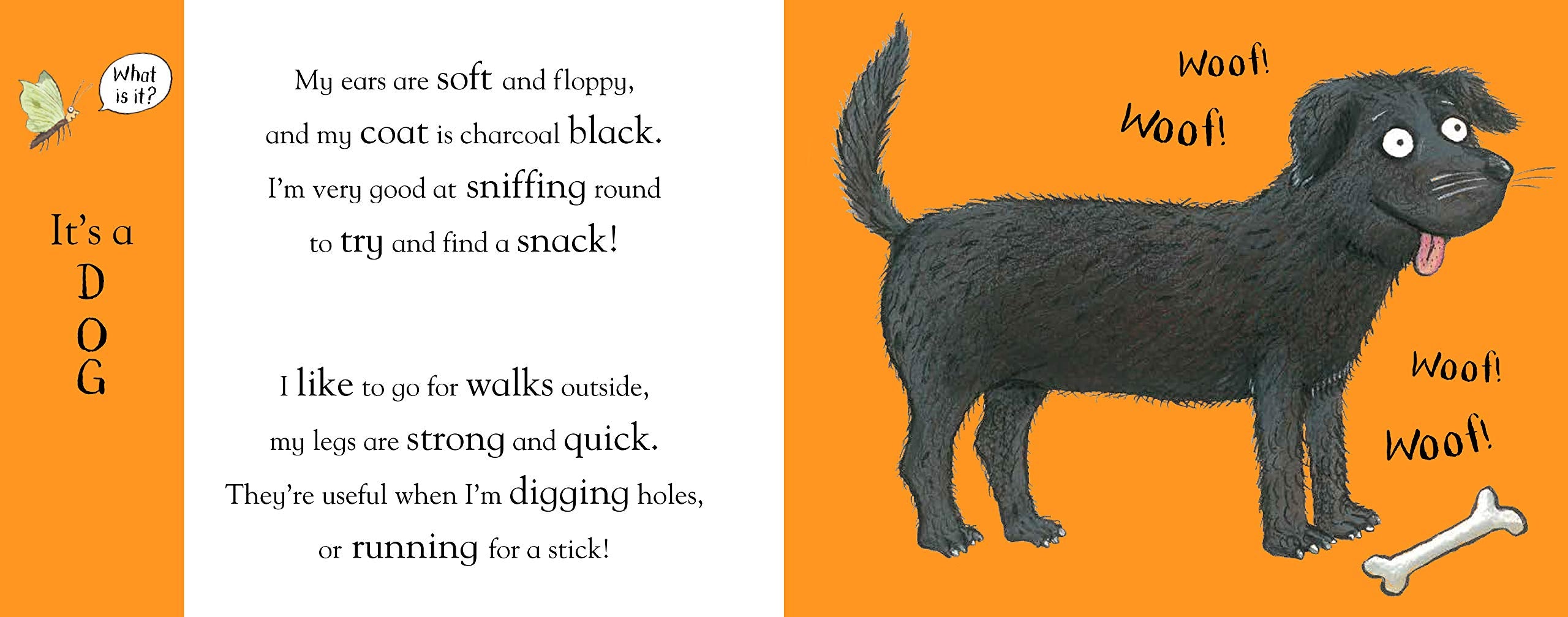 Axel Scheffler's Flip Flap Pets — Rainbow Chimney