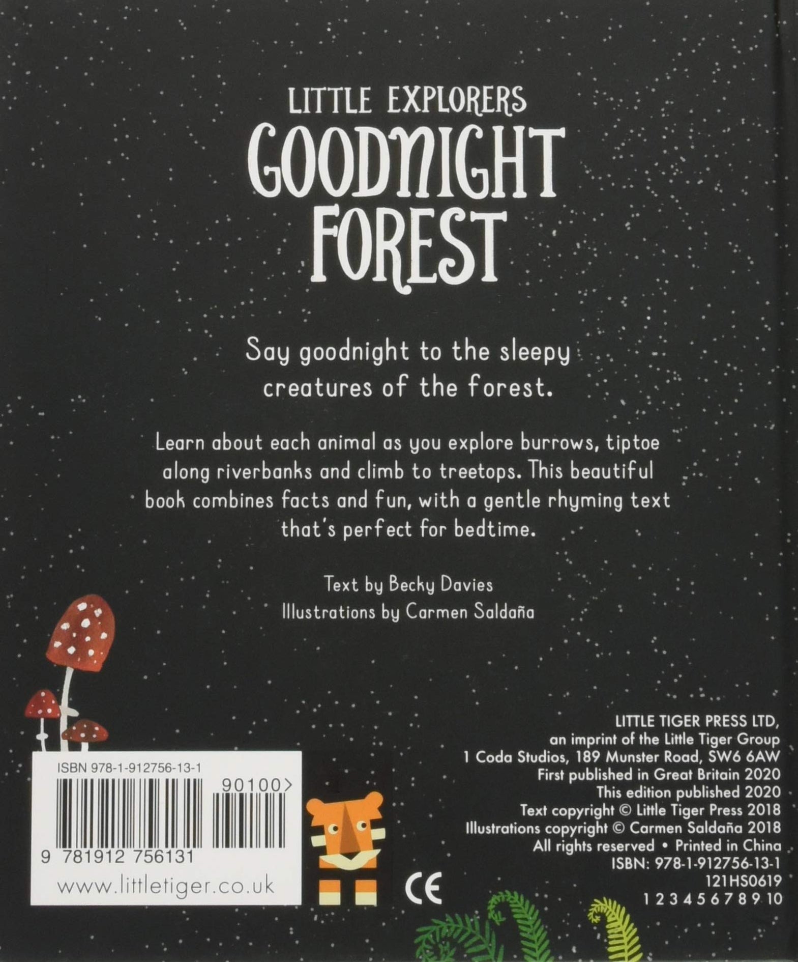 Goodnight Forest — Rainbow Chimney