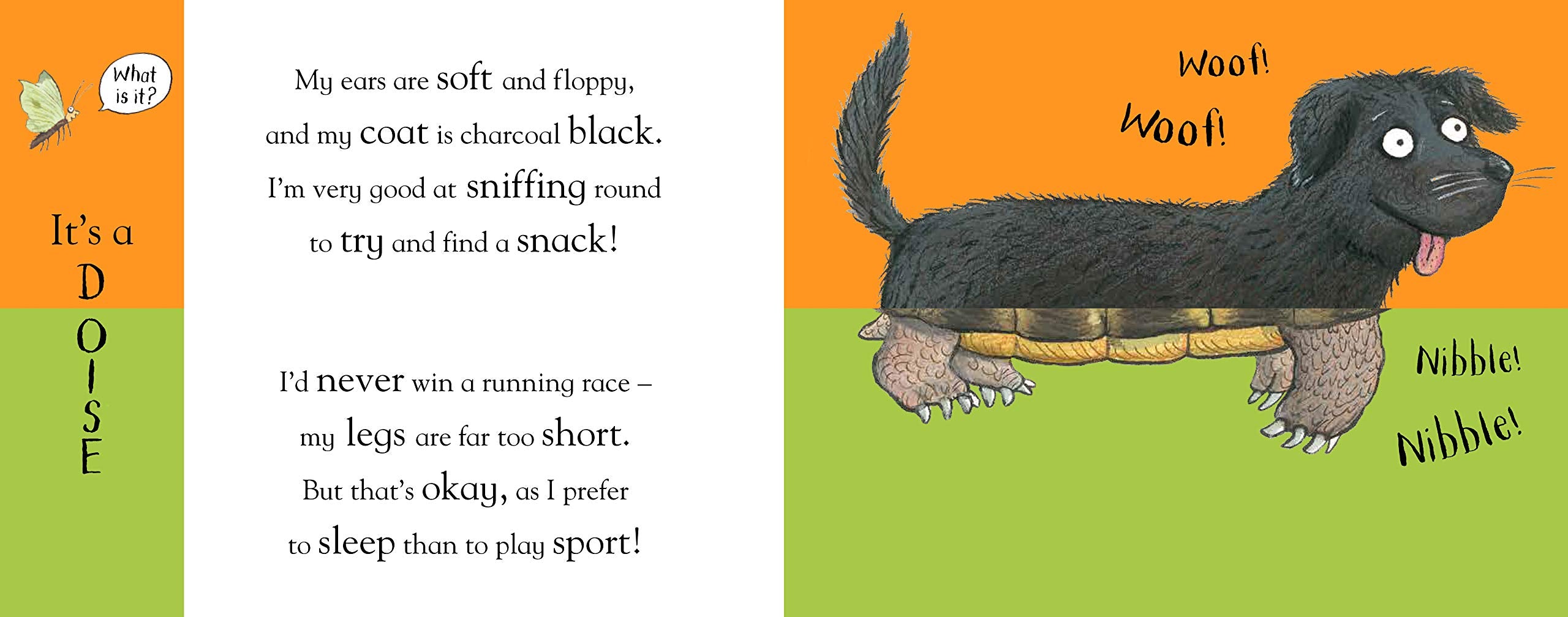 Axel Scheffler's Flip Flap Pets — Rainbow Chimney