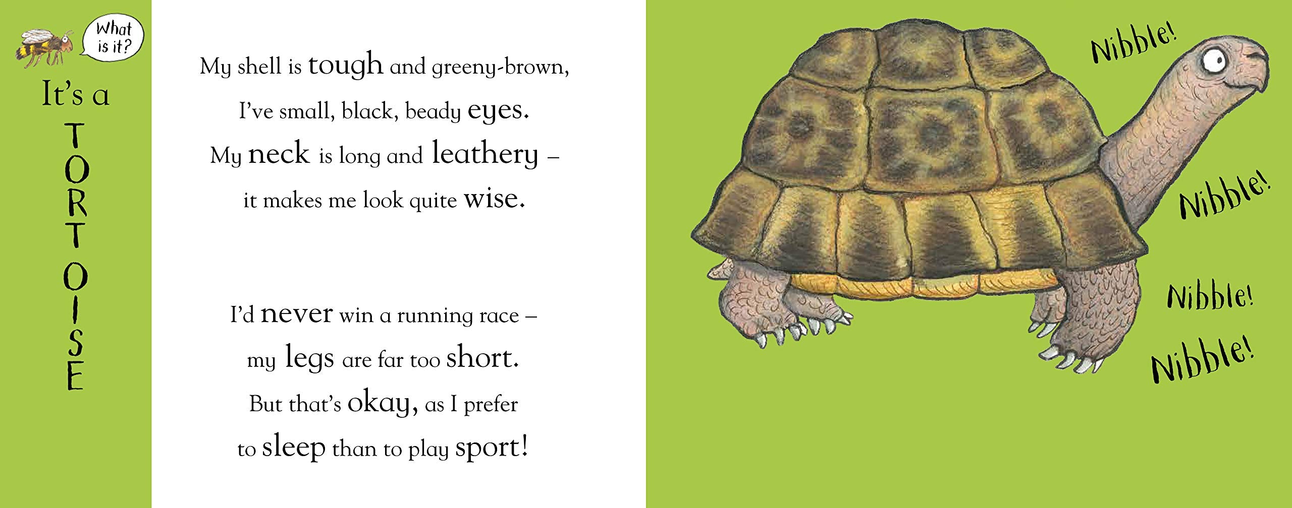 Axel Scheffler's Flip Flap Pets — Rainbow Chimney